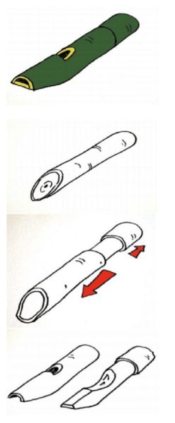 Pajupilli - Luontosivusto